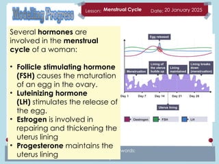 Module 2_Science 10_L5-The-menstrual-cycle.pptx