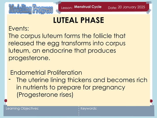 Module 2_Science 10_L5-The-menstrual-cycle.pptx