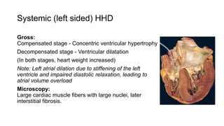 L5 & 6 effects of htn on vessels & heart 20 (2) | PPTX