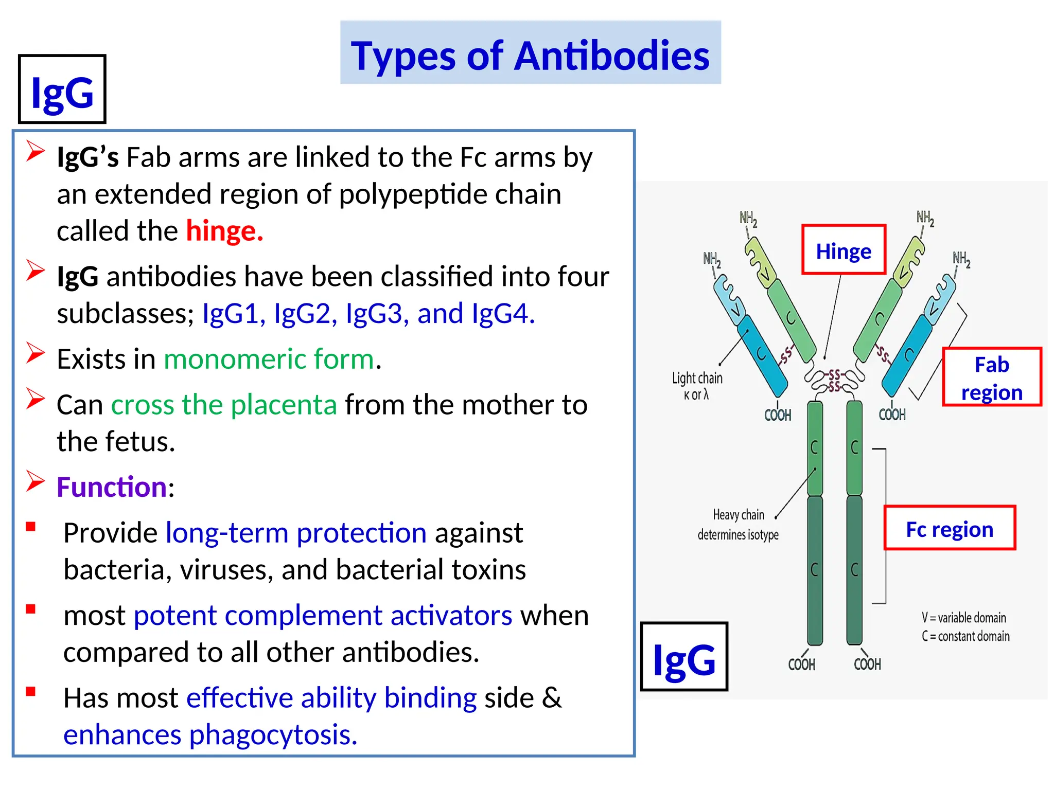 Defination and general characteristics of antibody | PPT