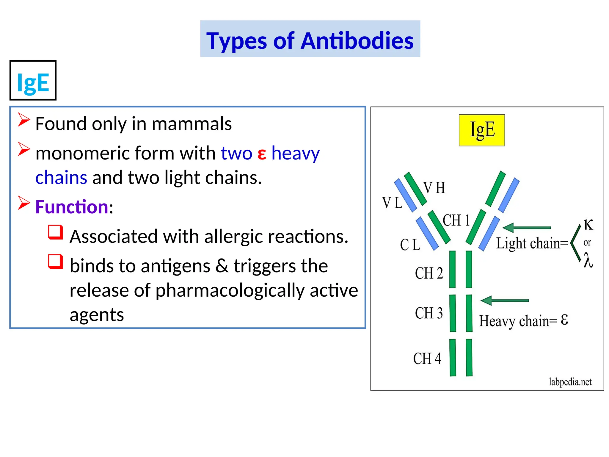 Defination and general characteristics of antibody | PPT