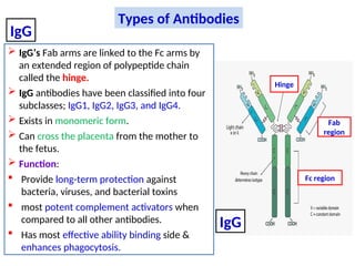 Defination and general characteristics of antibody | PPT