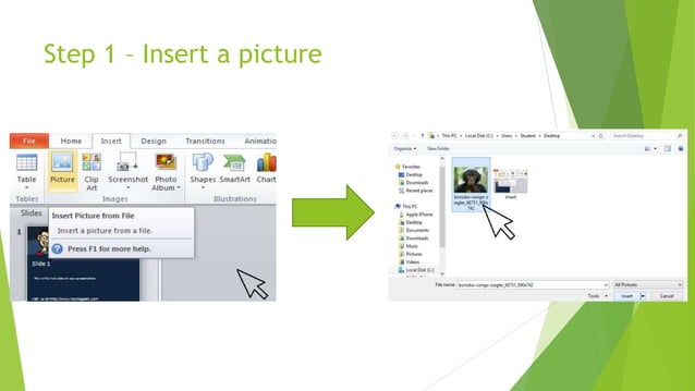 How to removed Image Background with Using Ms.PowerPoint 2010 | PPTX