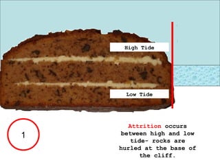 L5b wave cut platforms | PPT | Geography | Science