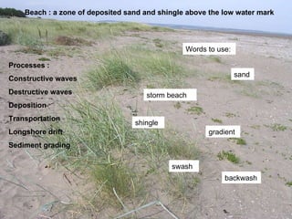 L5 Distictive Coastal Deposition Features | PPT