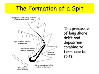 L5 Distictive Coastal Deposition Features | PPT
