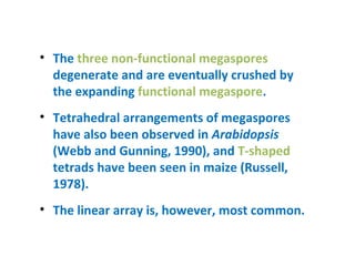 Megasporogenesis and megagametogenesis | PPT