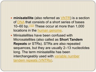 minisatellites | PPTX
