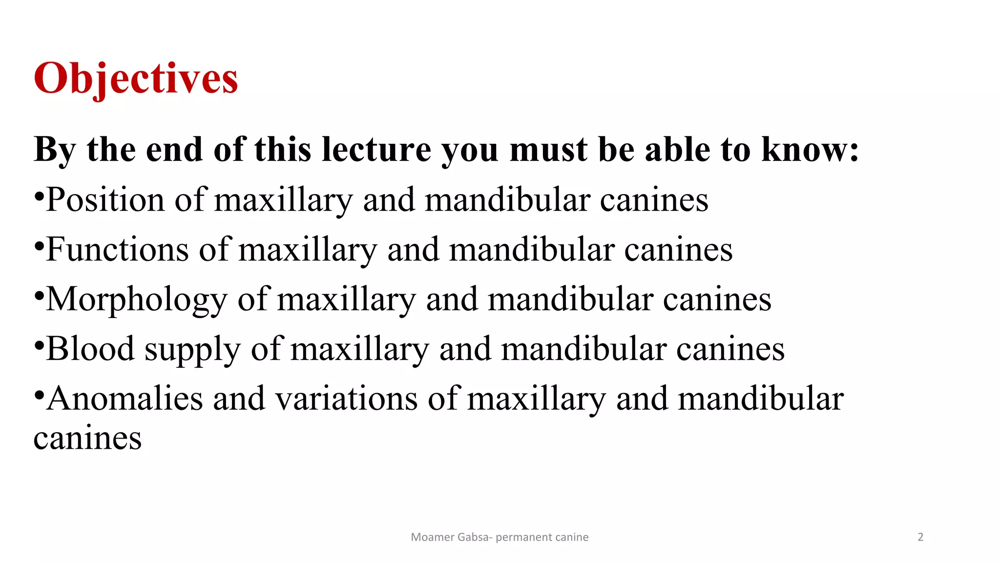 Morphology of permanent canines | PPT