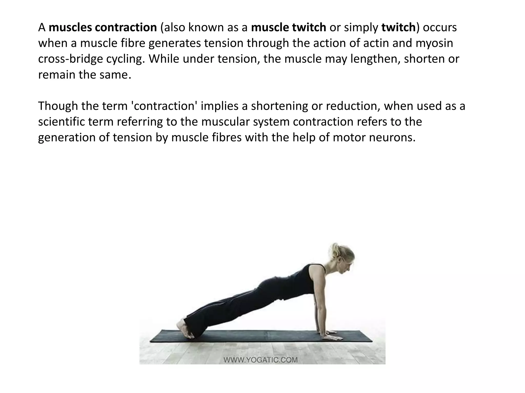 L5 Muscle Structure | PPTX