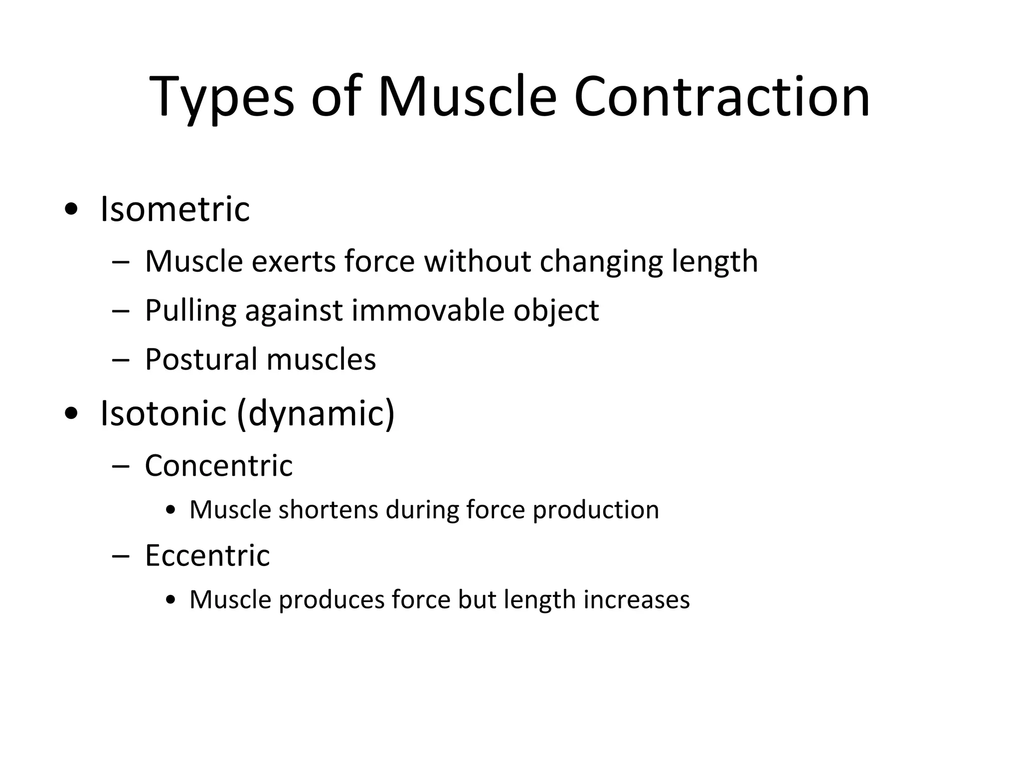 L5 Muscle Structure | PPTX