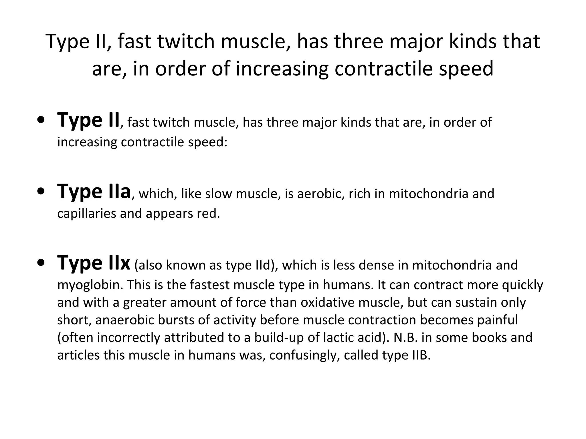 L5 Muscle Structure | PPTX