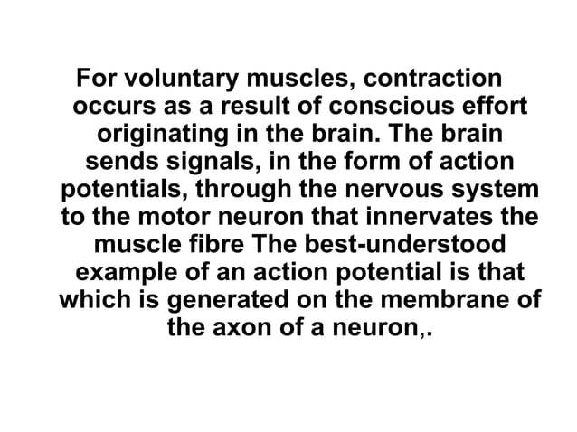 L5 Muscle Structure | PPTX