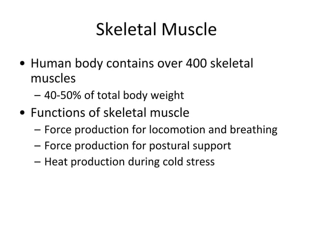 L5 Muscle Structure | PPT