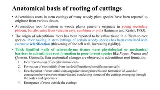 L5 Physiological basis of rooting of Cuttings and layering.pptx