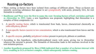 L5 Physiological basis of rooting of Cuttings and layering.pptx