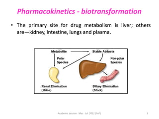 Metabolism | PPTX
