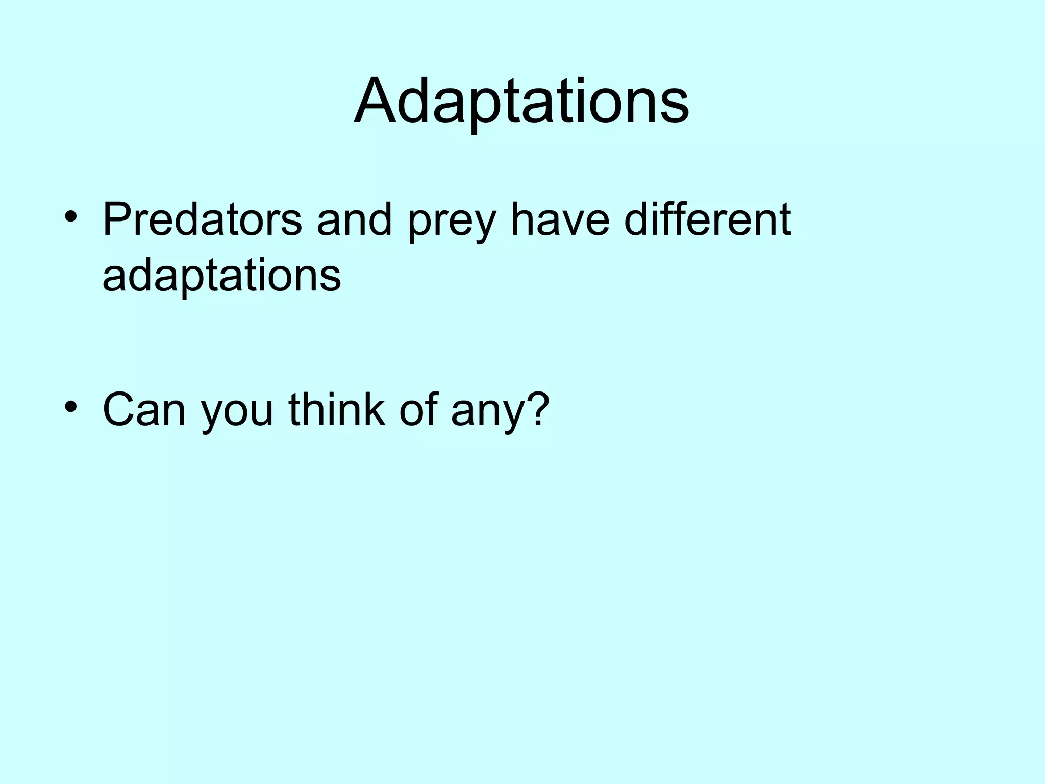 Lesson 5 predator and prey | PPT