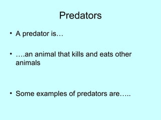 Predator And Prey Examples