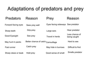 Lesson 5 predator and prey | PPT