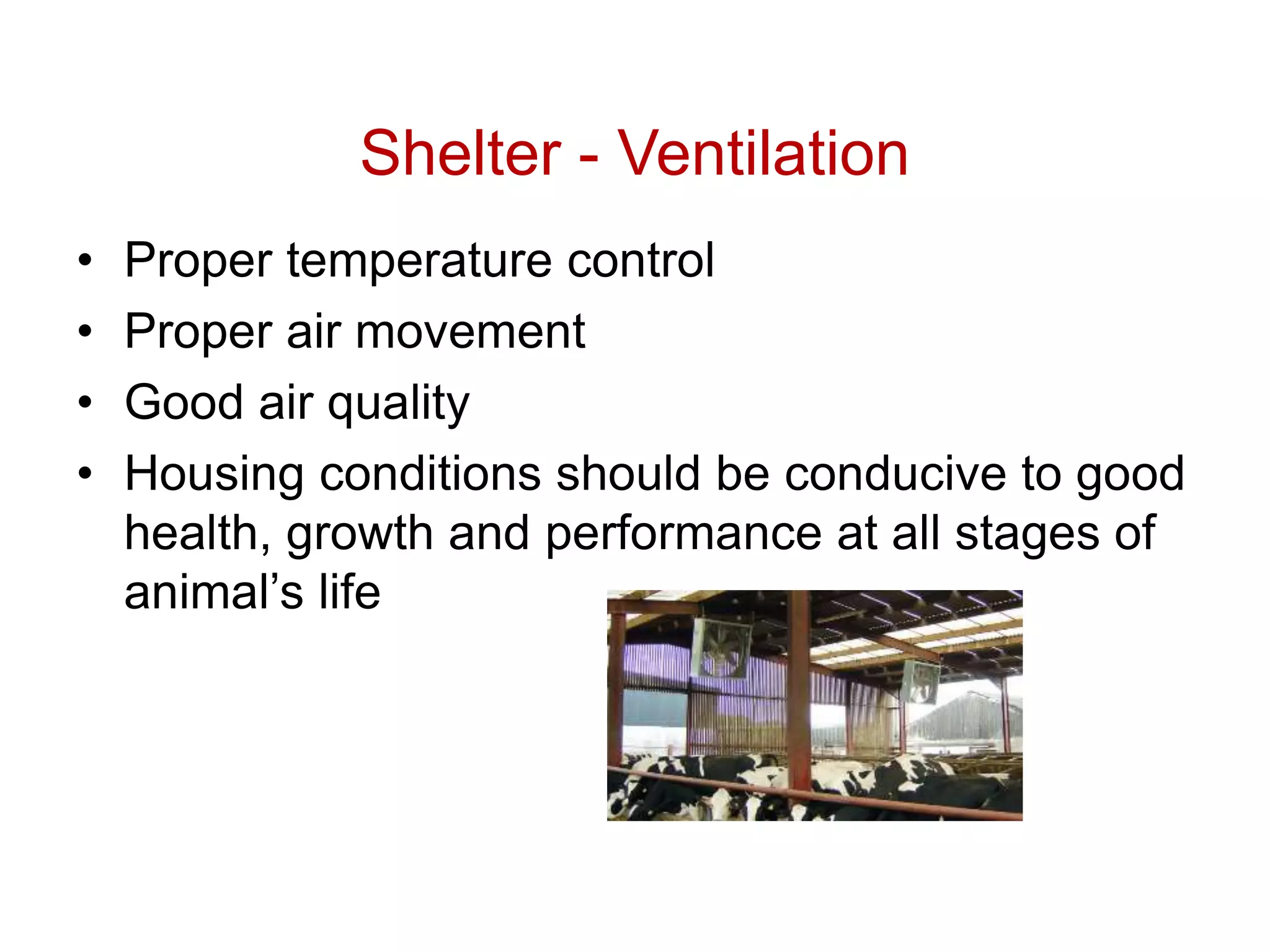 L5 Principles of Farm Animal Management.pptx