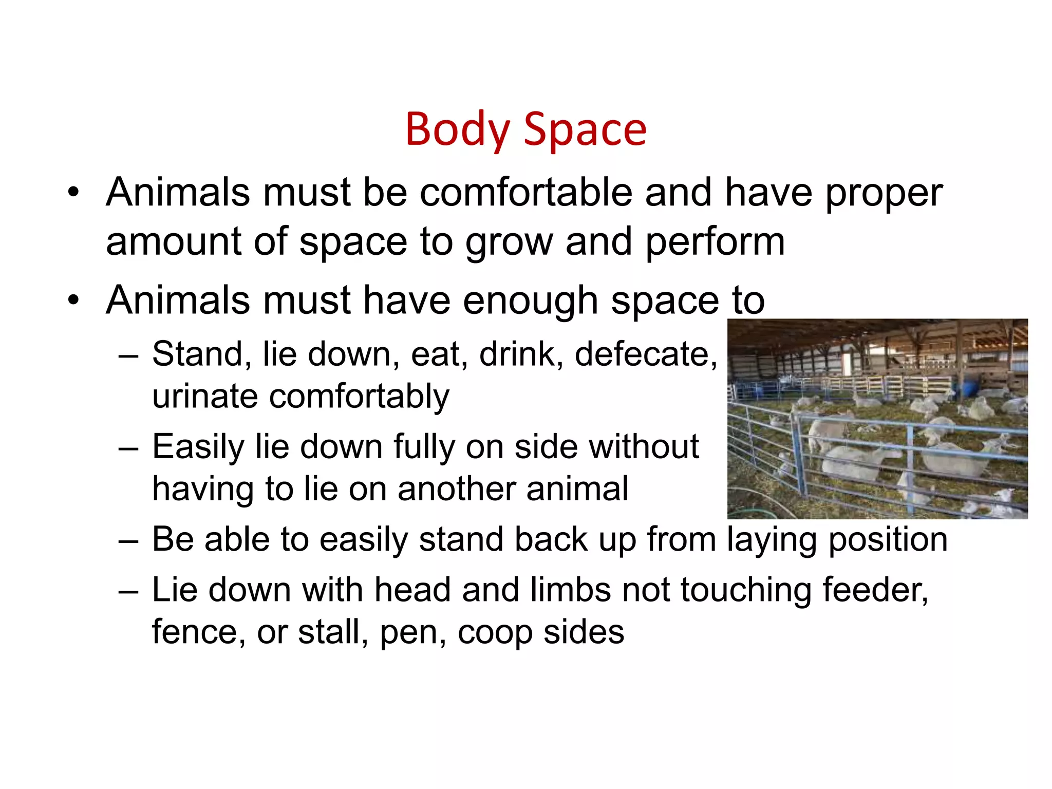 L5 Principles of Farm Animal Management.pptx