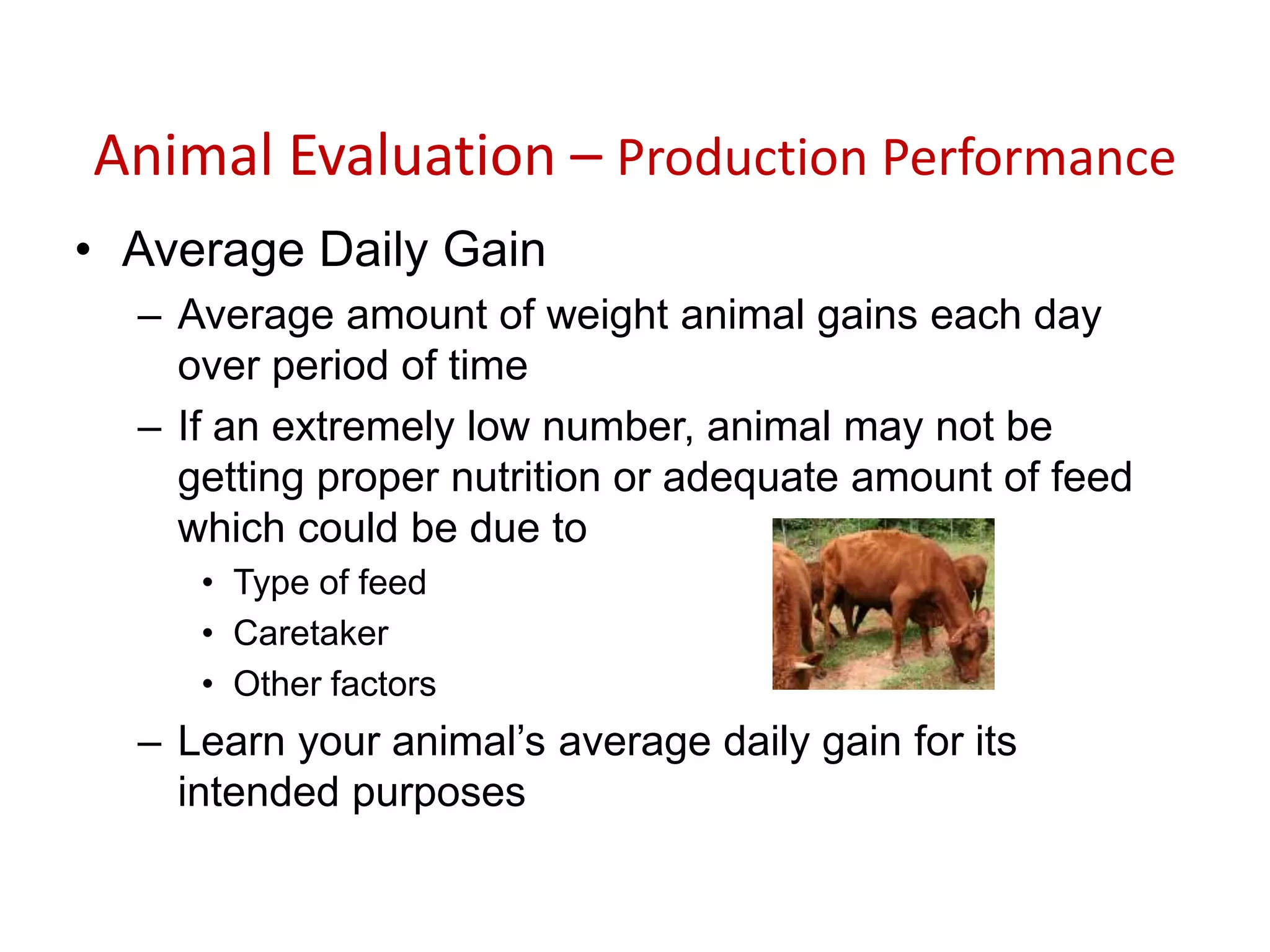 L5 Principles of Farm Animal Management.pptx