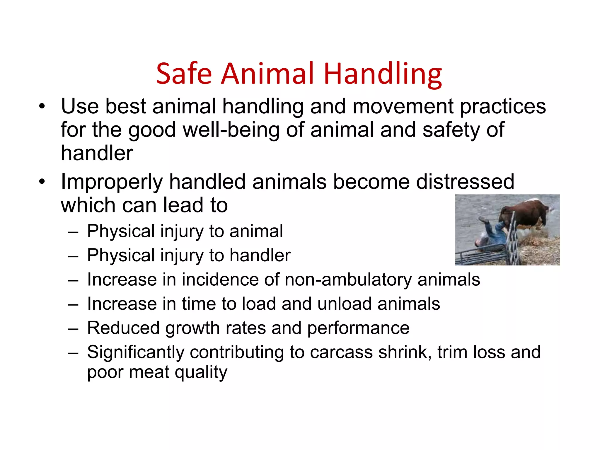 L5 Principles of Farm Animal Management.pptx
