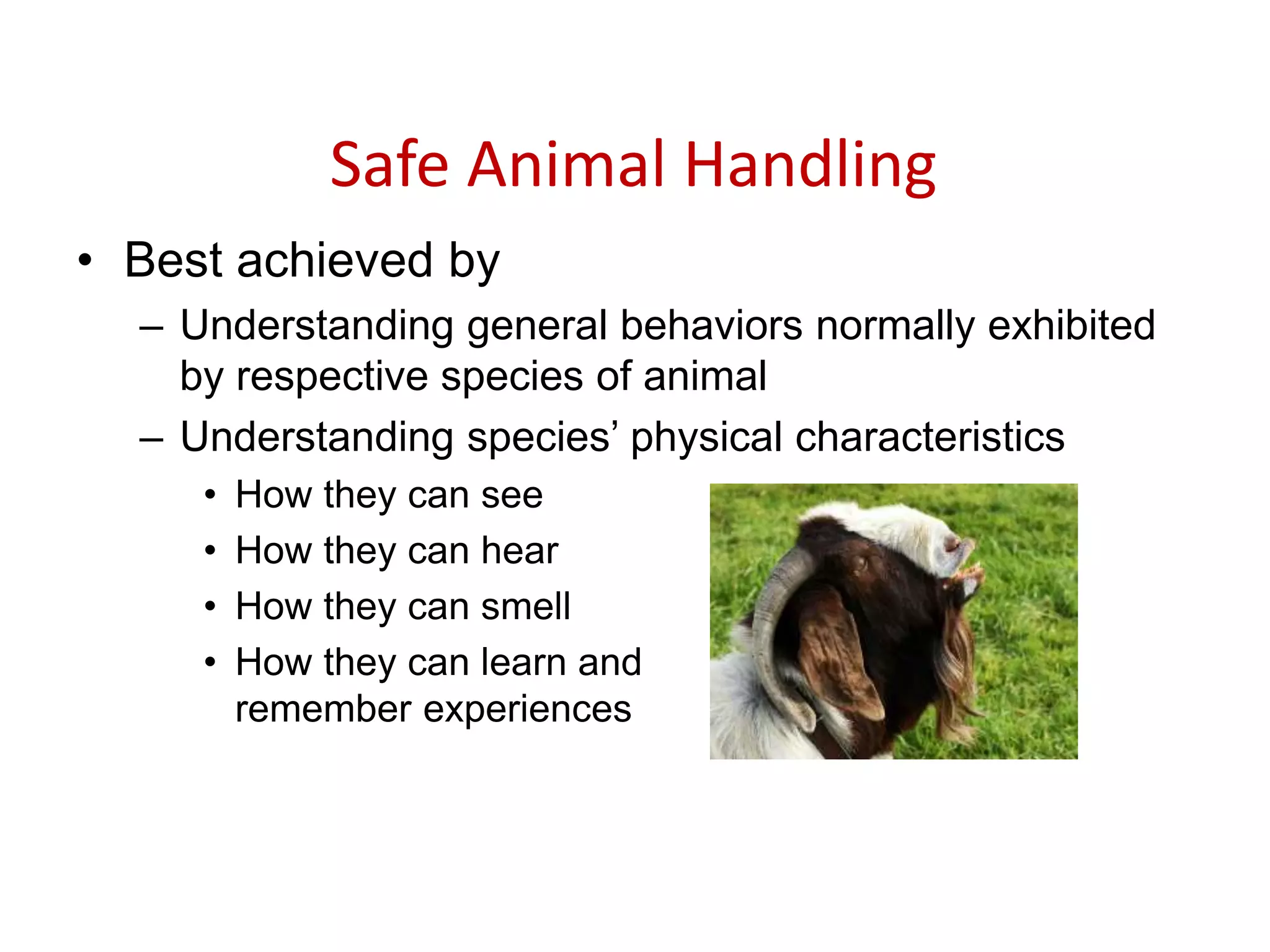 L5 Principles of Farm Animal Management.pptx