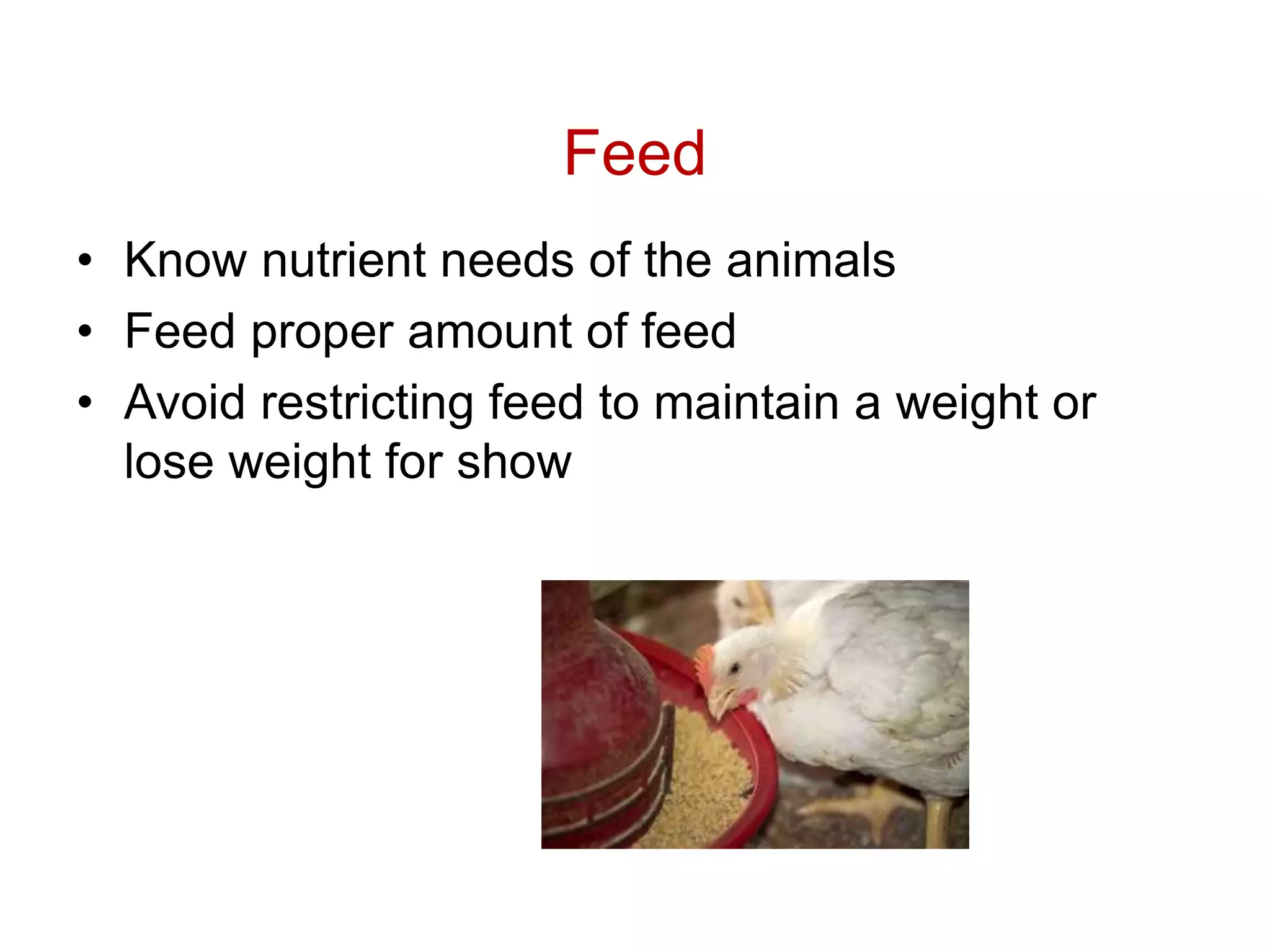 L5 Principles of Farm Animal Management.pptx