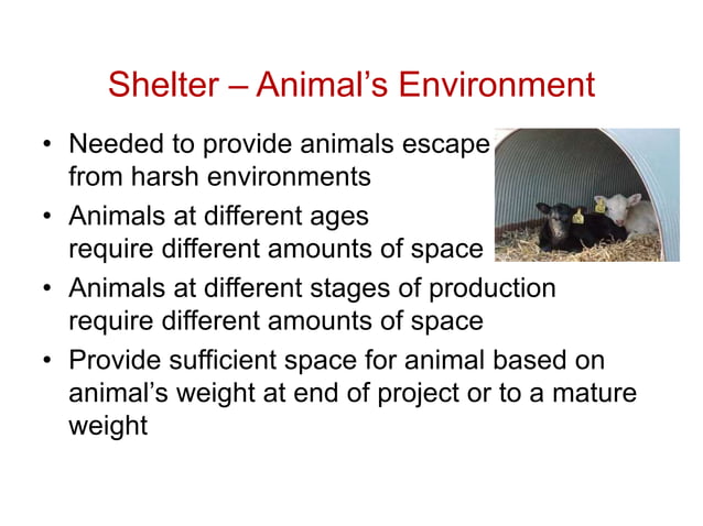 L5 Principles of Farm Animal Management.pptx