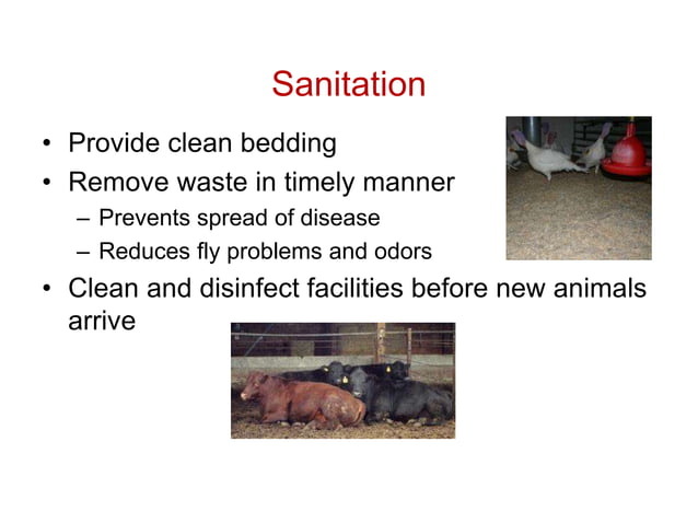 L5 Principles of Farm Animal Management.pptx