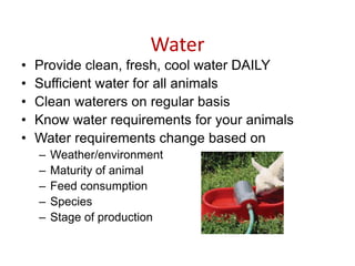 L5 Principles of Farm Animal Management.pptx