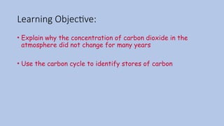 L5 The Carbon Cycle key stage 3 science.pptx