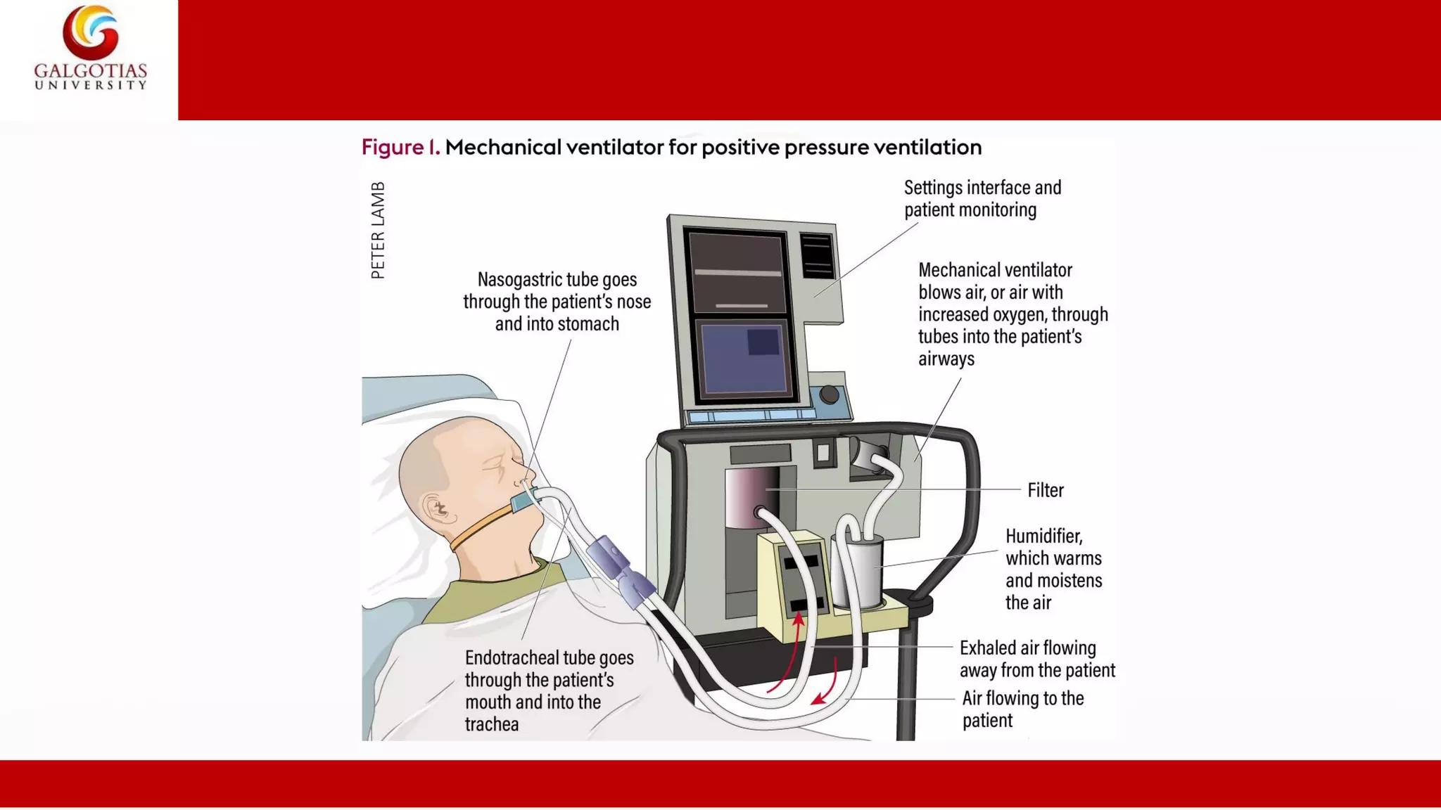 Basic emergency care and First aid and TRIAGE | PDF