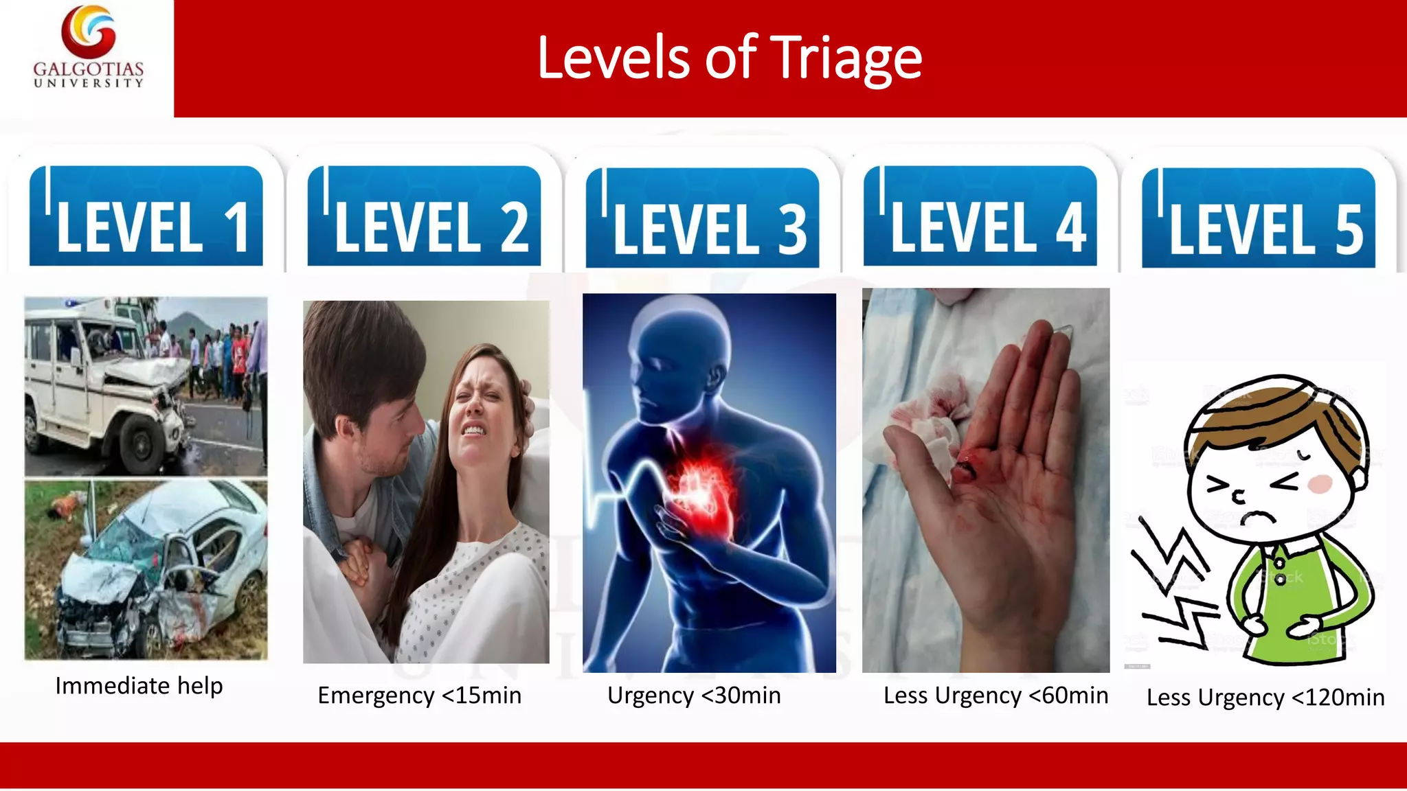 Basic emergency care and First aid and TRIAGE | PDF