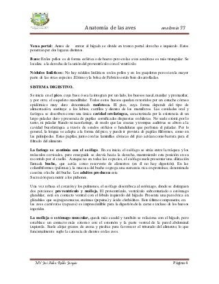 Anatomia de las aves | DOCX