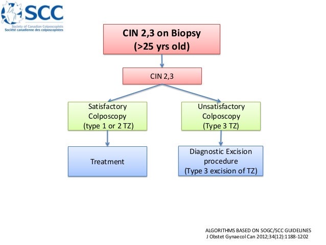 4 prof james bently management guidelines 2014
