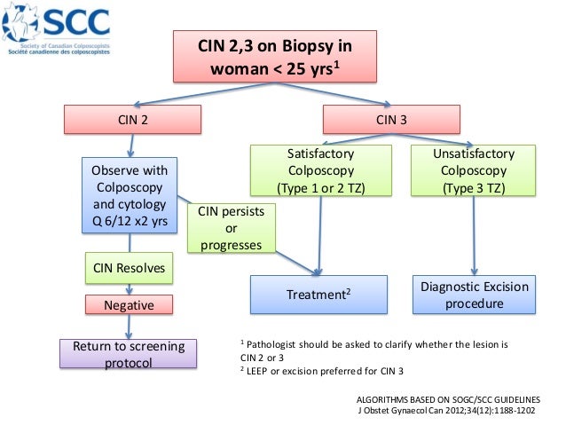 4 prof james bently management guidelines 2014