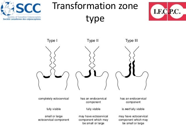 4 prof james bently management guidelines 2014