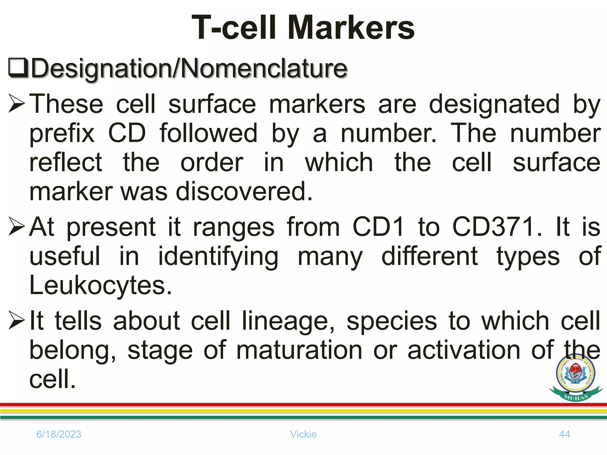 L6.0 Immune recognition molecule (MHC,T cell receptor, T cell epitopes, T cell markers, B cell ...