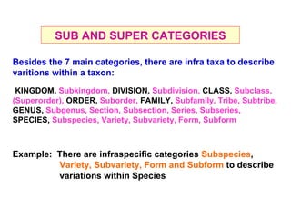 Plant taxonomy | PPT