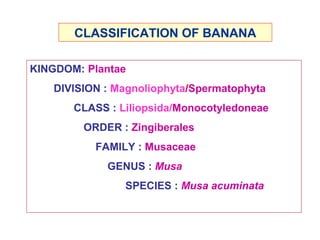 Plant Taxonomy Classification