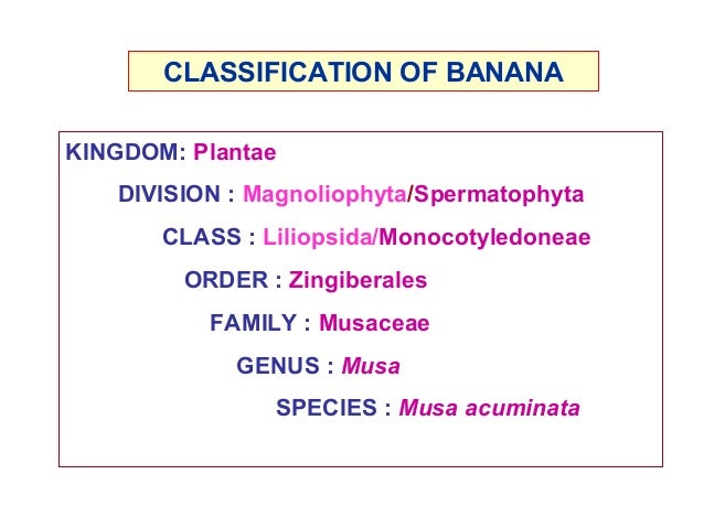 Plant taxonomy