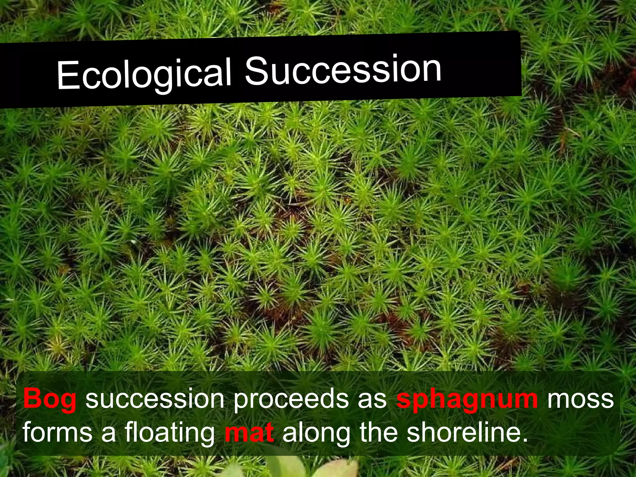 Grade9,U3-L6 Ecological Succession | PPT