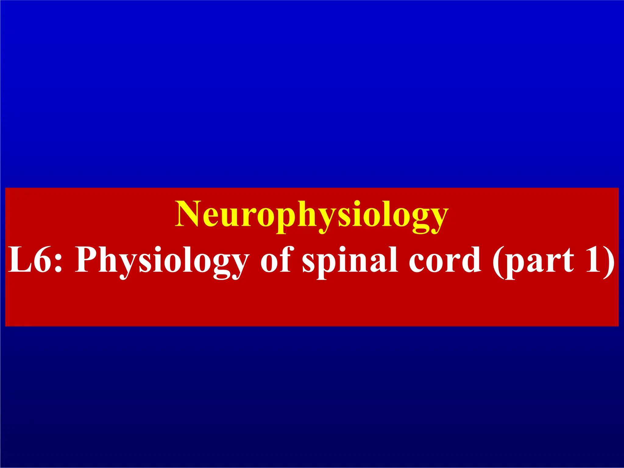 L6 - Physiology of spinal cord - part 1.pptx