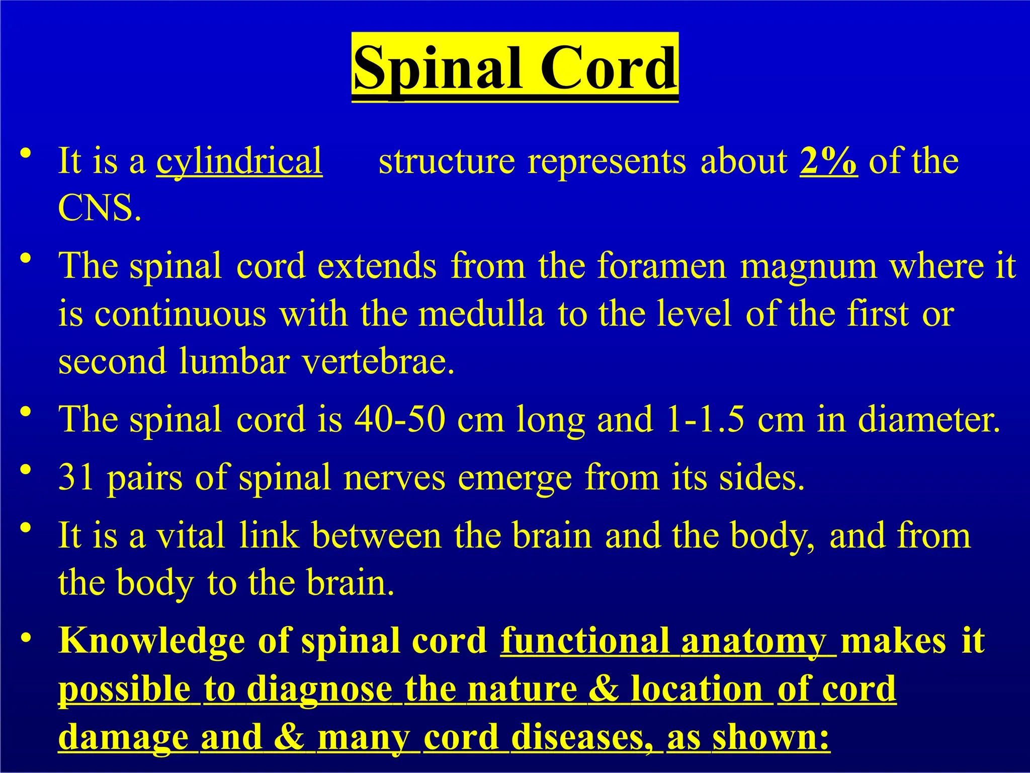 L6 - Physiology of spinal cord - part 1.pptx