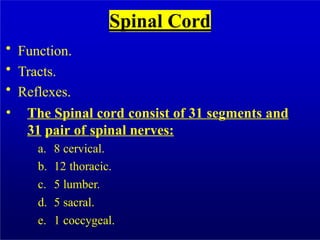 L6 - Physiology of spinal cord - part 1.pptx