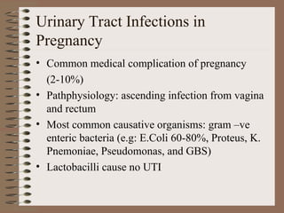 Urinary tract infection - symptoms, diagnosis and treatment | PPT