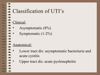 Urinary tract infection - symptoms, diagnosis and treatment | PPT